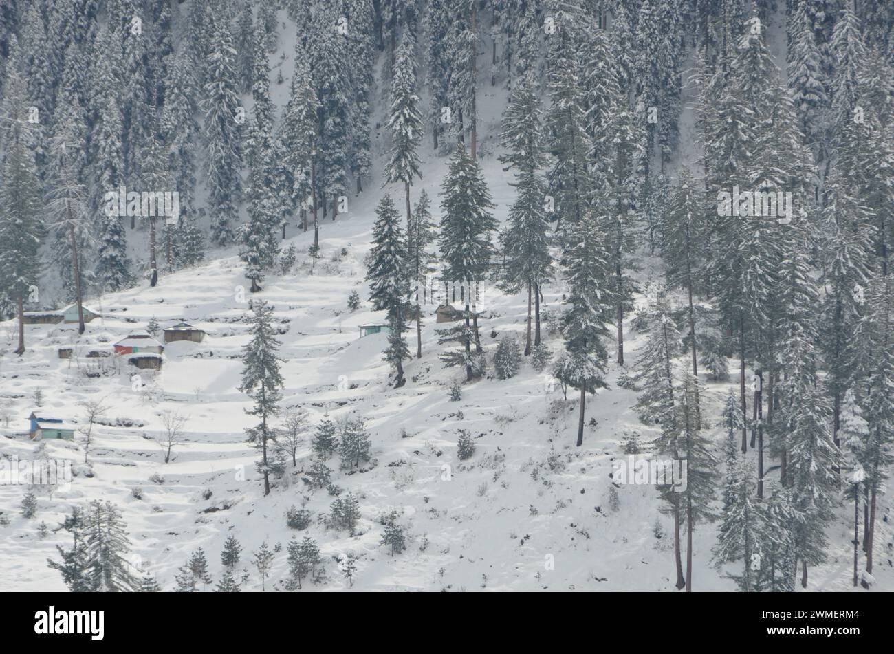 heavy snowfall in hilly areas of KP Pakistan Stock Photo - Alamy