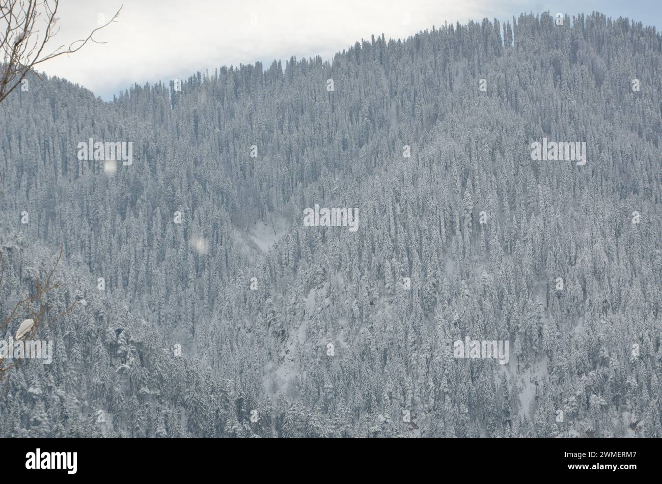 heavy snowfall in hilly areas of KP Pakistan Stock Photo - Alamy