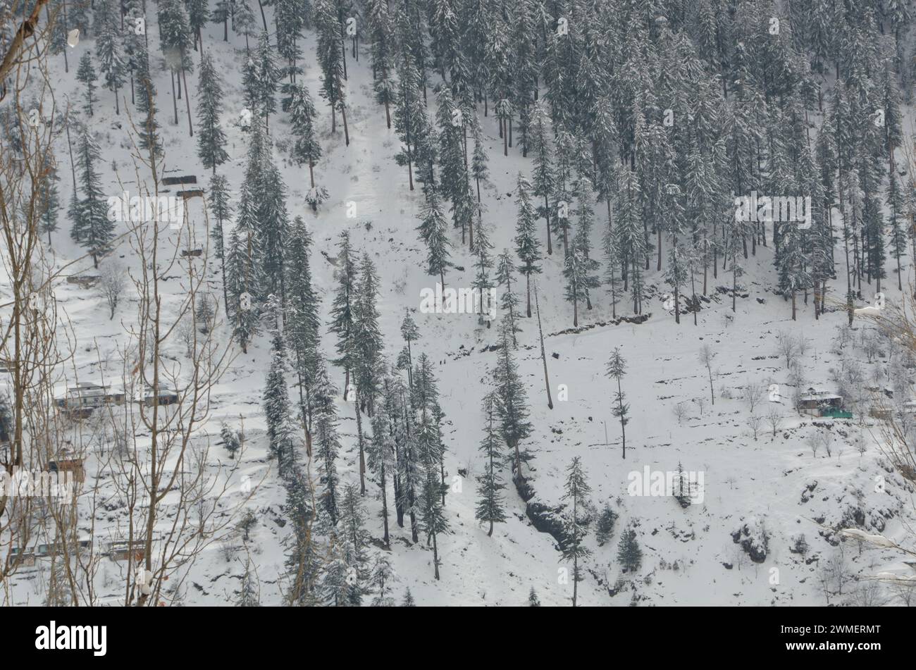 heavy snowfall in hilly areas of KP Pakistan Stock Photo - Alamy