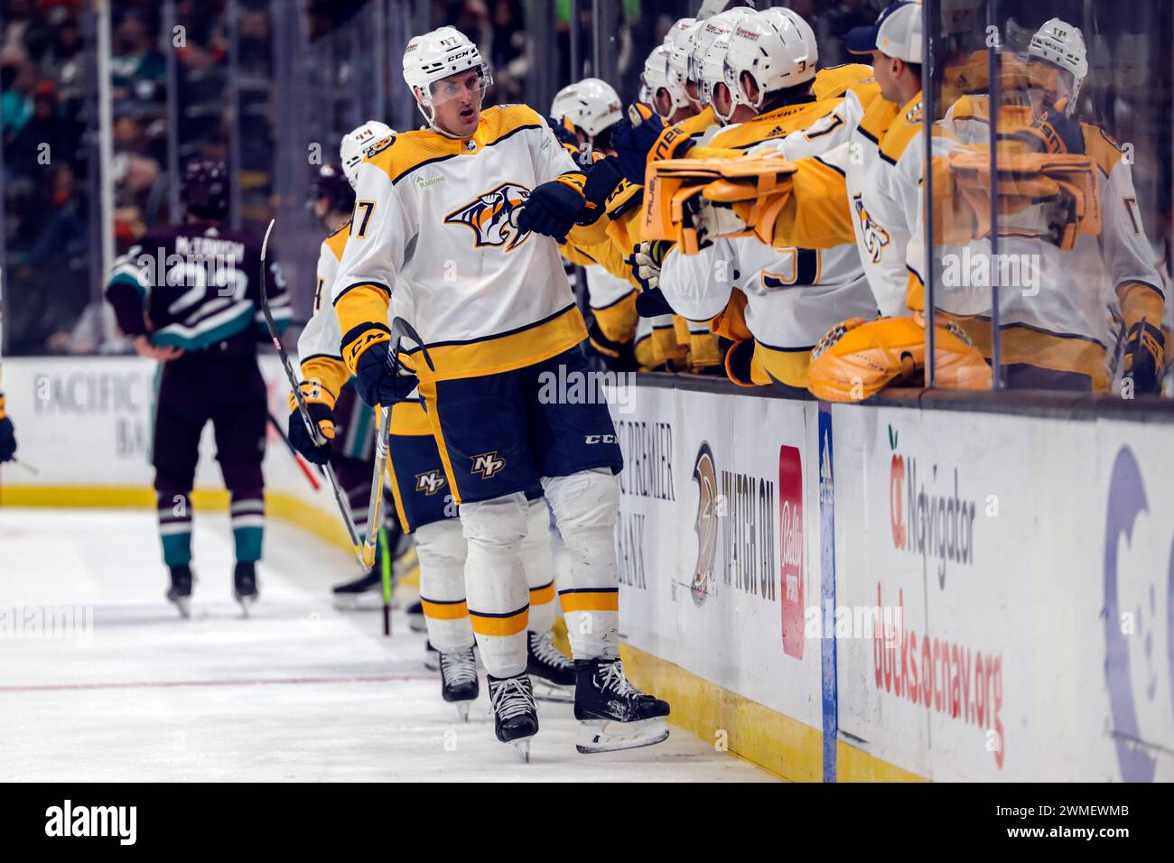 Nashville Predators right wing Michael McCarron (47) celebrates with ...