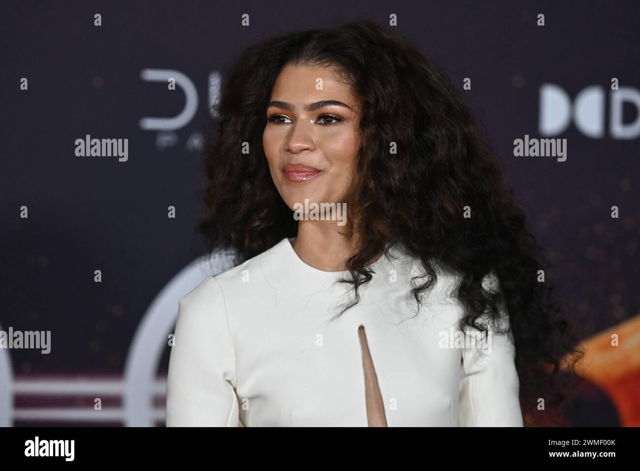 Zendaya dune new york 2024 hi-res stock photography and images - Alamy