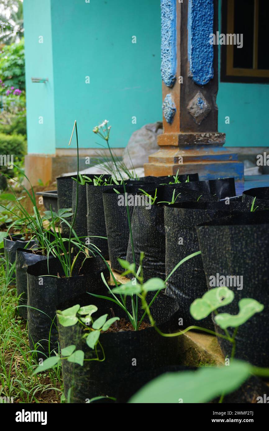 Stock photo of modern home garden composition filled with many ...