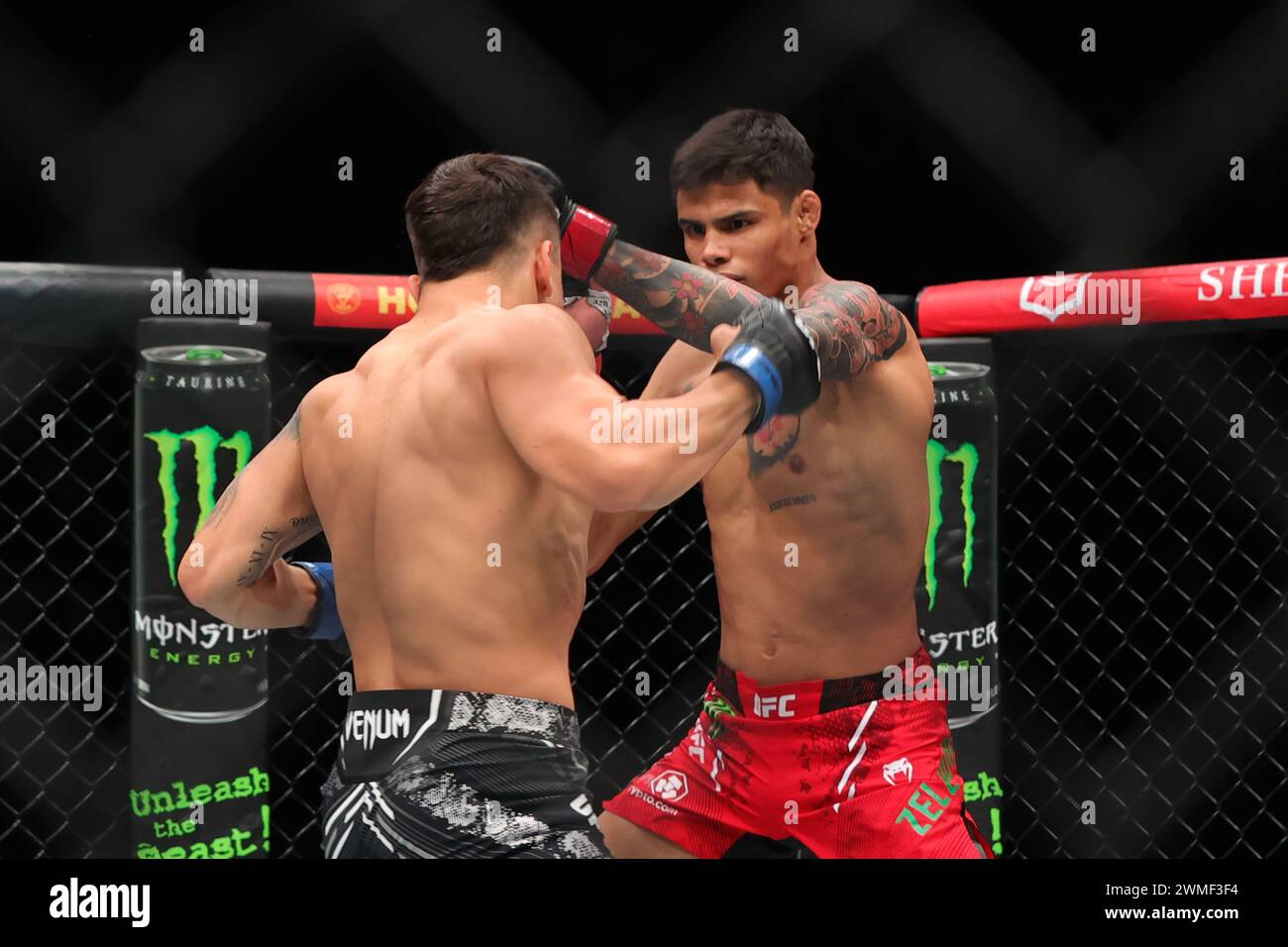 Mexico City, Mexico. 24th Feb, 2024. February 24, 2024, Mexico City, Mexico: Daniel Zellhuber of ...