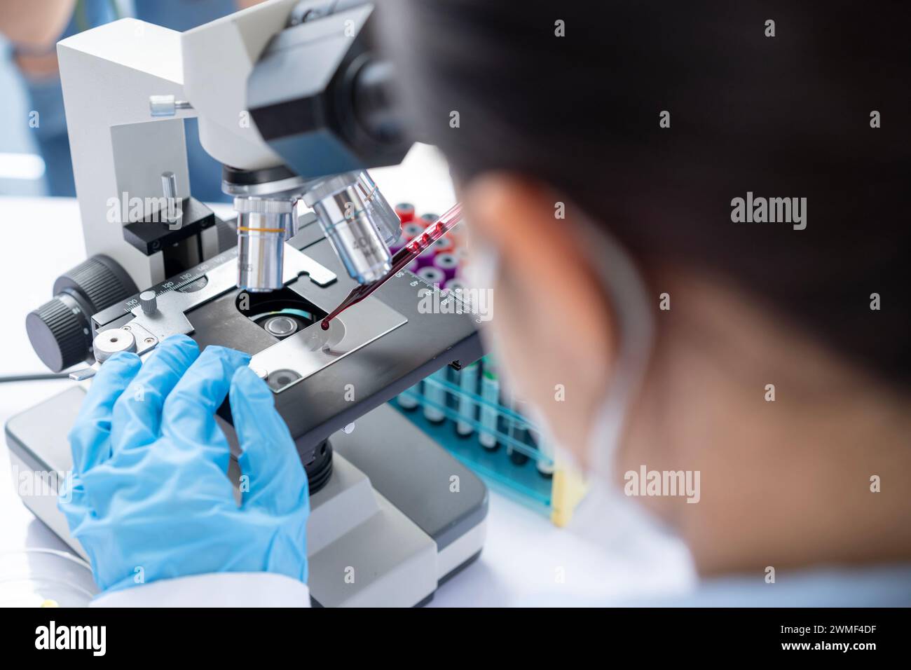 The female scientist is collecting a blood droplet to prepare for ...