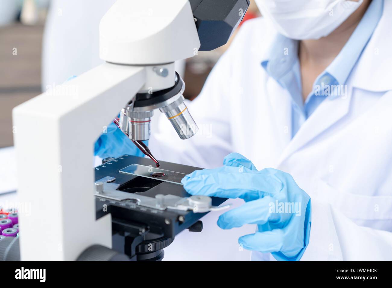 The female scientist is collecting a blood droplet to prepare for ...