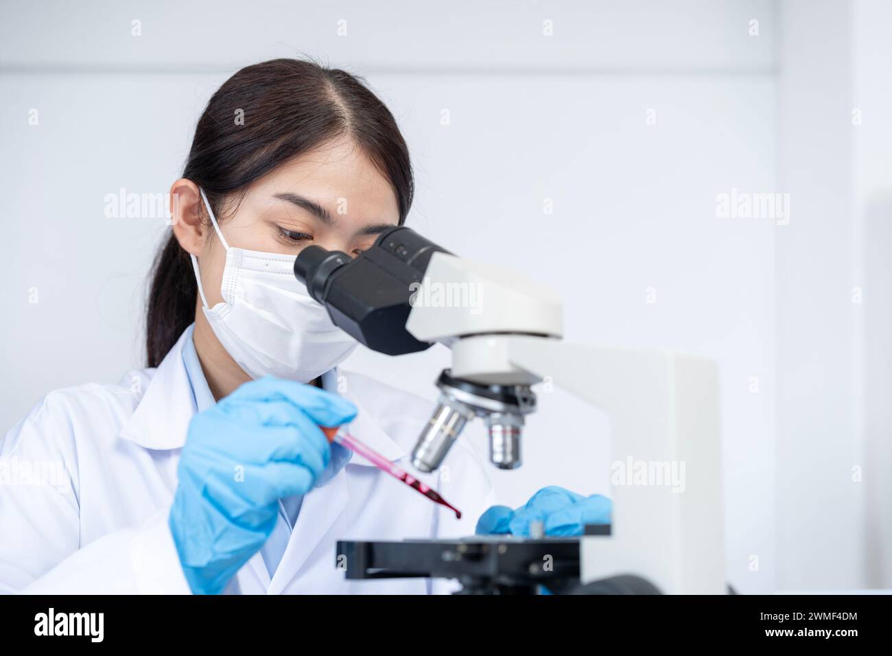 The female scientist is collecting a blood droplet to prepare for ...