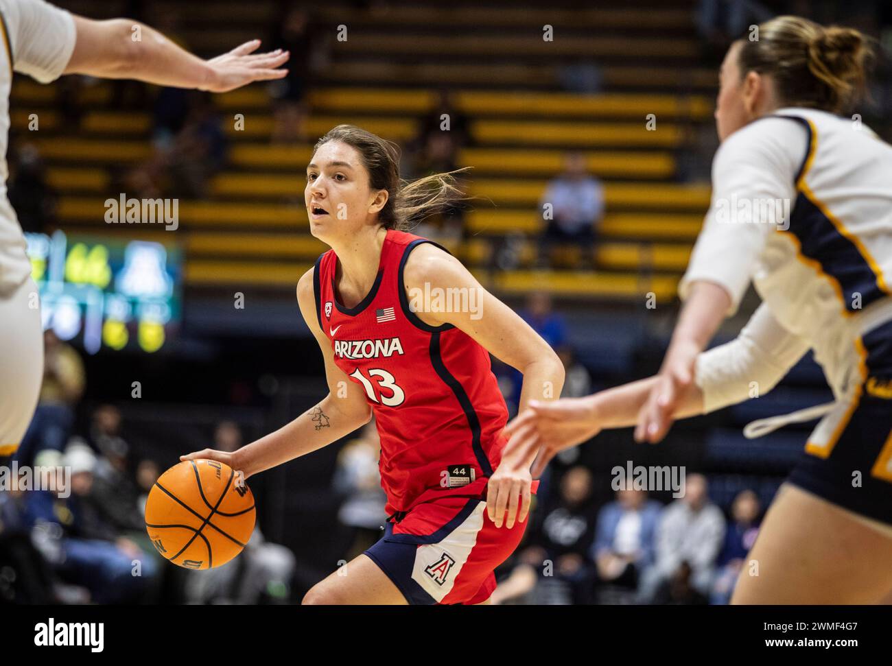 2024 0396 jpg hi-res stock photography and images - Alamy