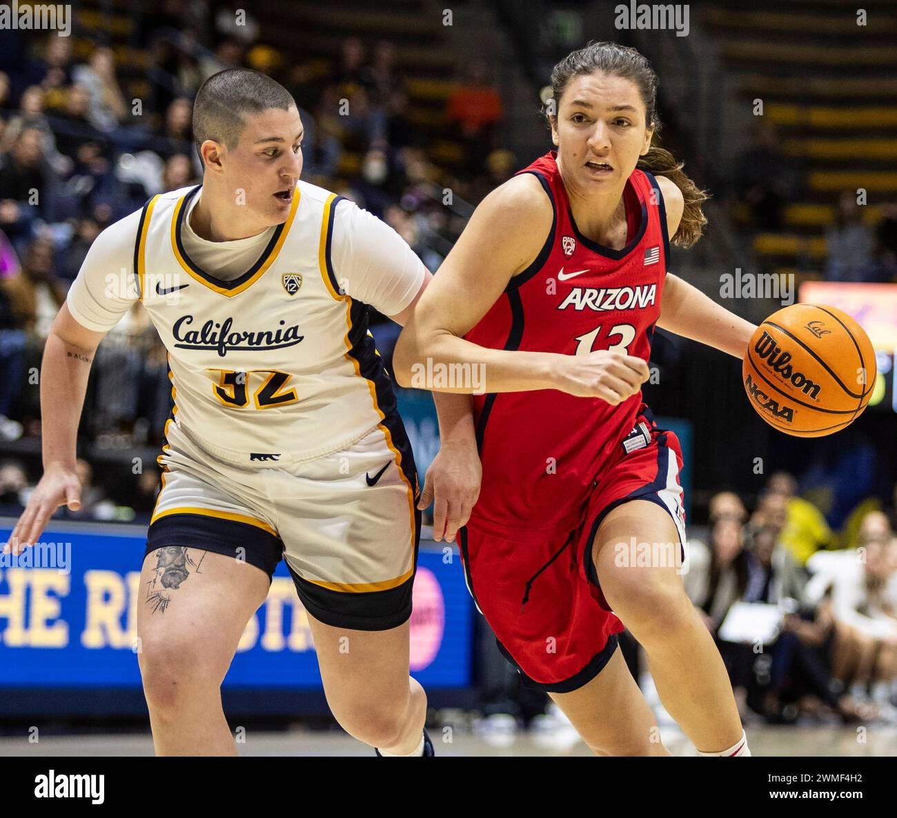 2024 0482 jpg hi-res stock photography and images - Alamy