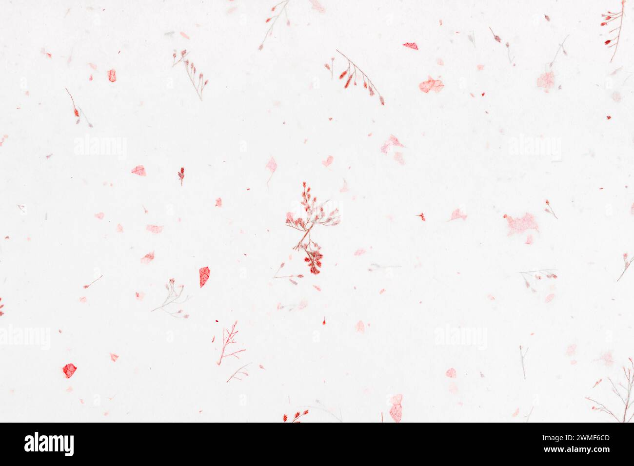 Handmade traditional leaves paper texture as background Stock Photo - Alamy