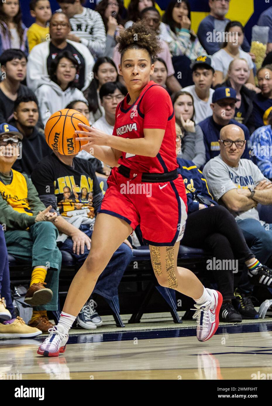 2024 0084 jpg hi-res stock photography and images - Alamy