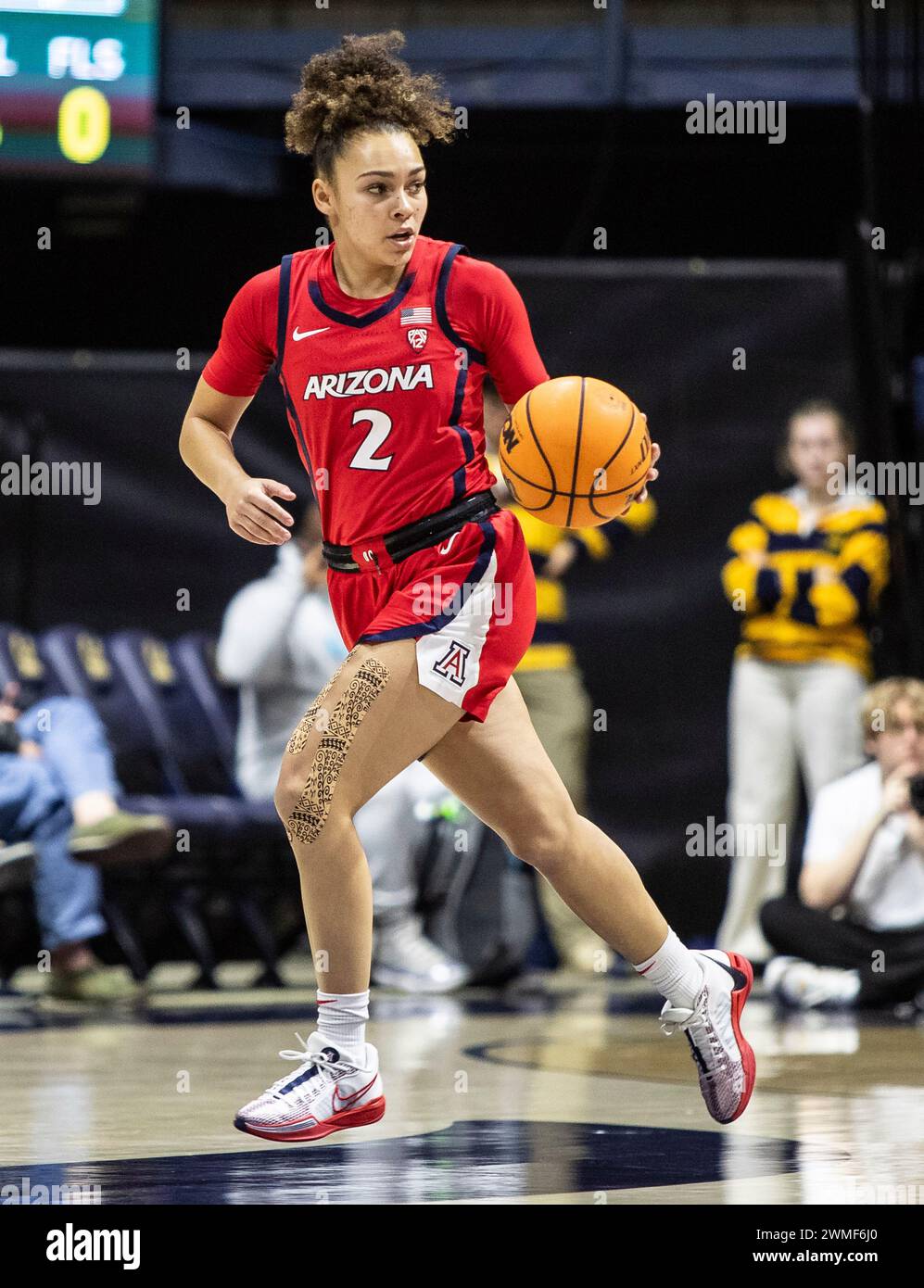 2024 0032 2 jpg hi-res stock photography and images - Alamy