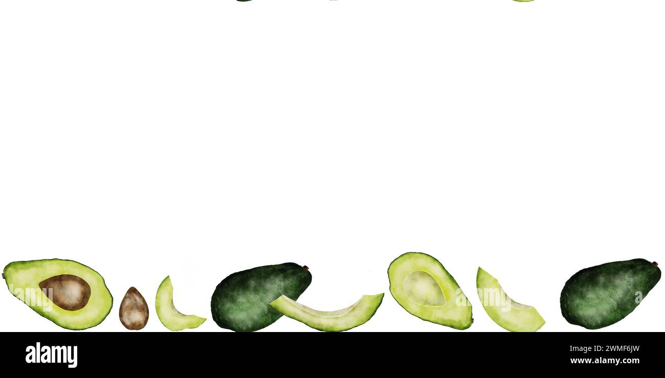 Avocado watercolor border. Hand drawn isolated on white background ...