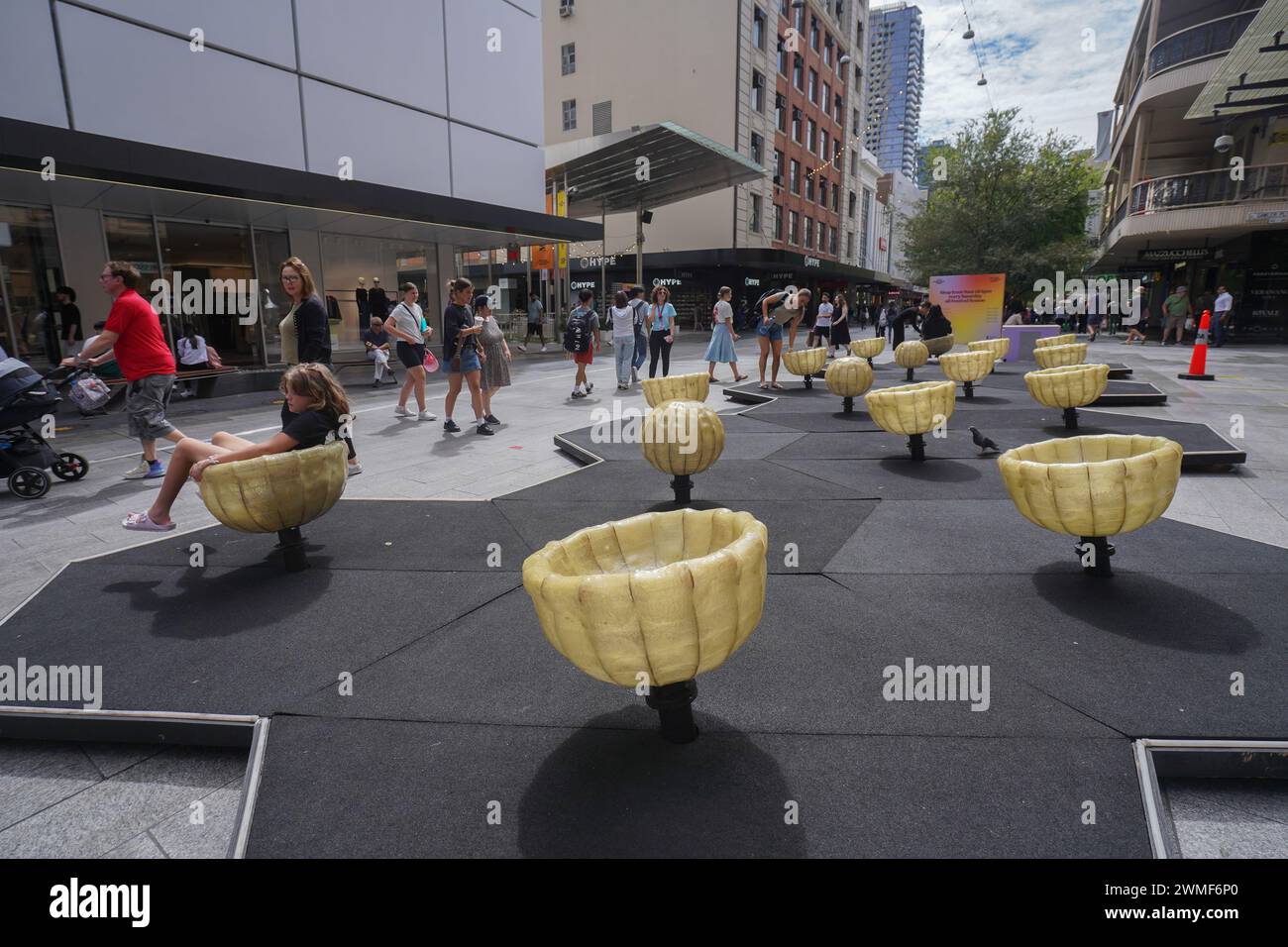 Adelaide, SA Australia 26 February 2024 . HEXADECA created by Pulsing ...