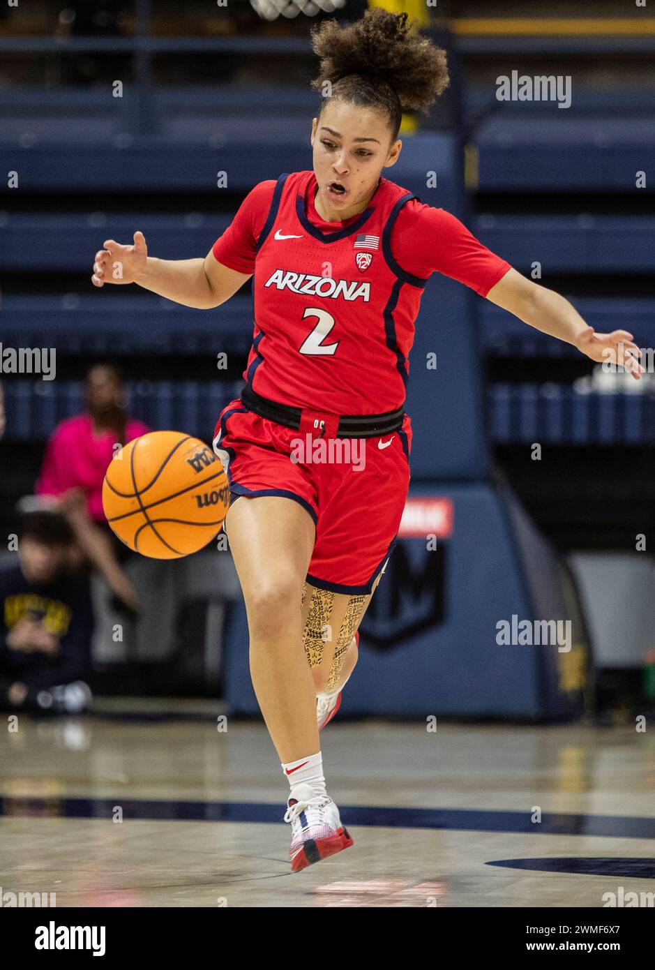 2024 0325 jpg hi-res stock photography and images - Alamy