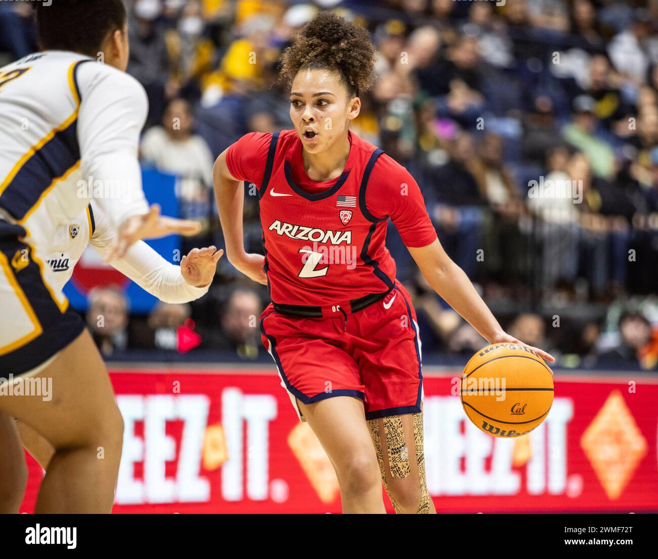 2024 0634 jpg hi-res stock photography and images - Alamy