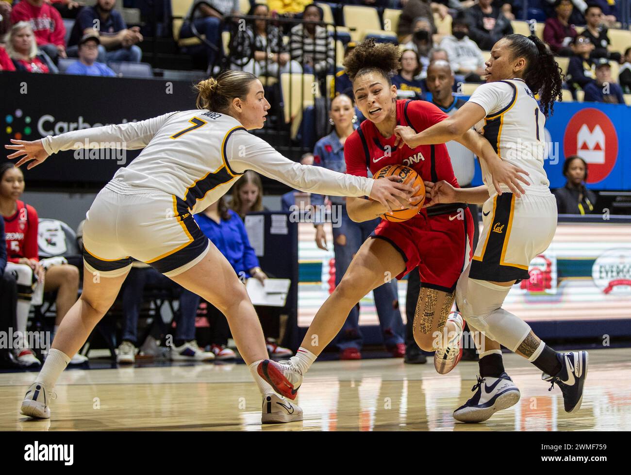 2024 0598 jpg hi-res stock photography and images - Alamy