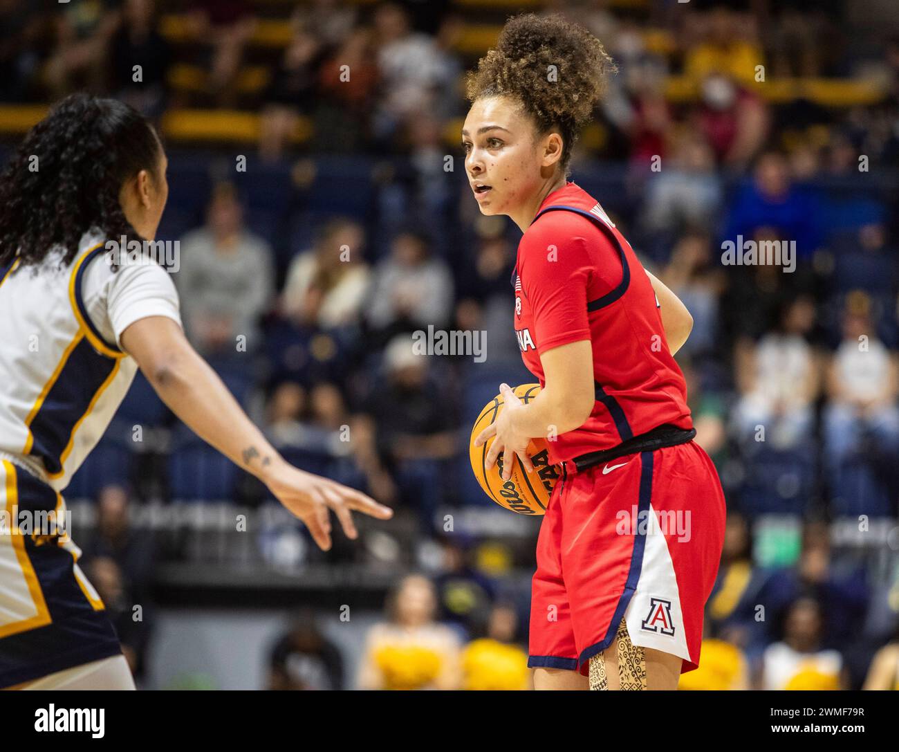 2024 0715 jpg hi-res stock photography and images - Alamy