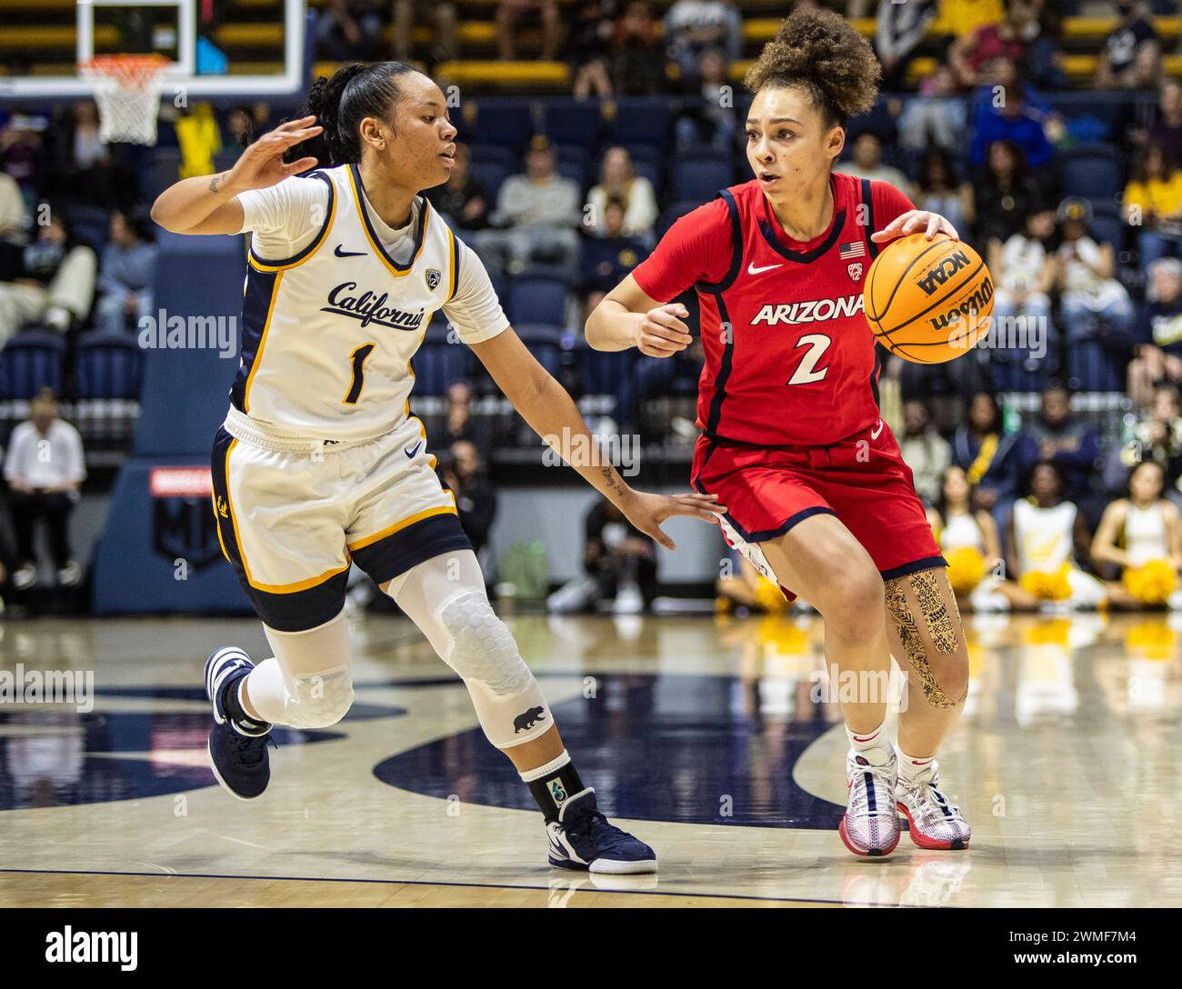 Berkeley, USA. 25th Feb, 2024. February 25, 2024 Berkeley, CA U.S.A ...