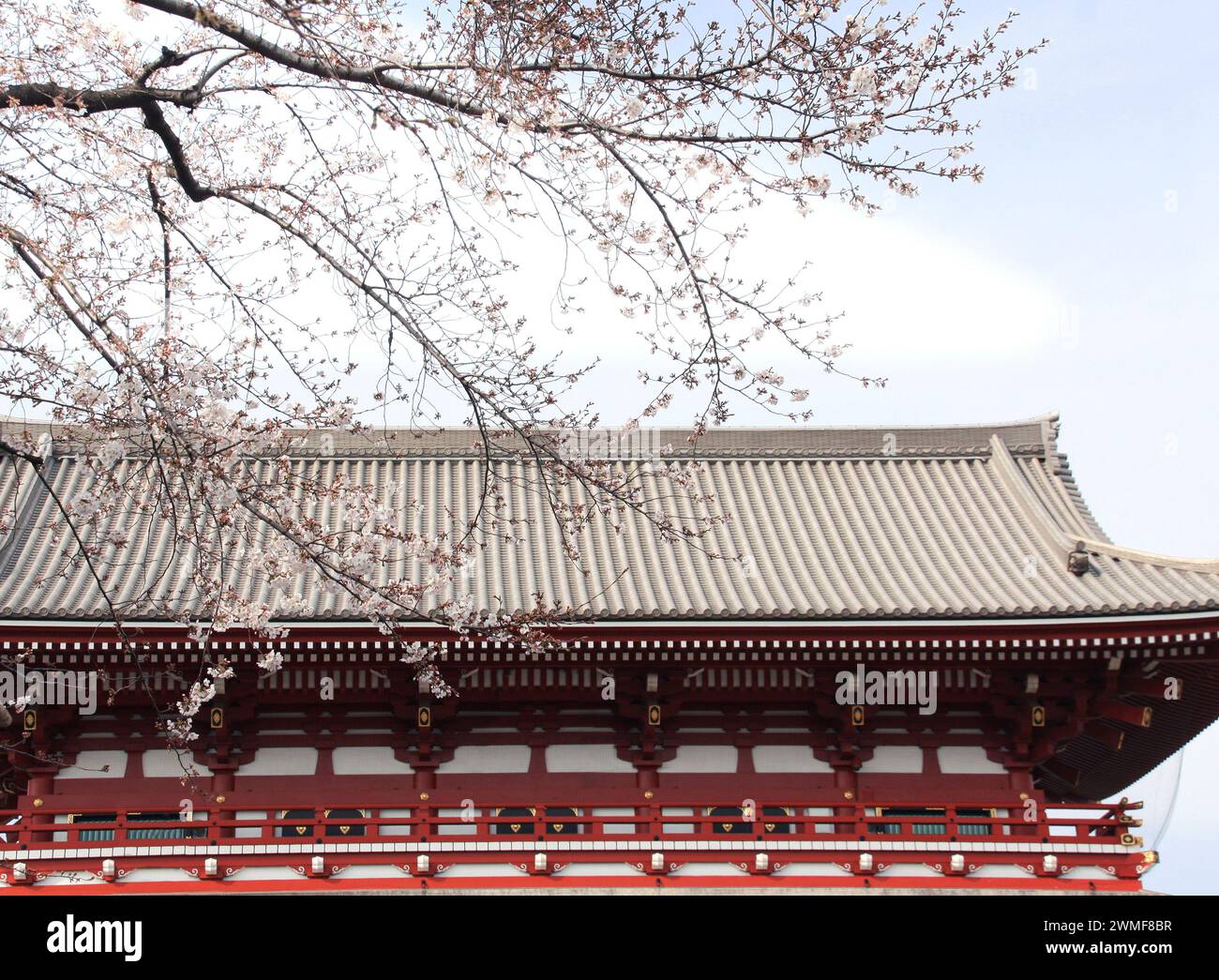Tile roof of ancient pavilion and flowers of sakura, Japan, Asia ...