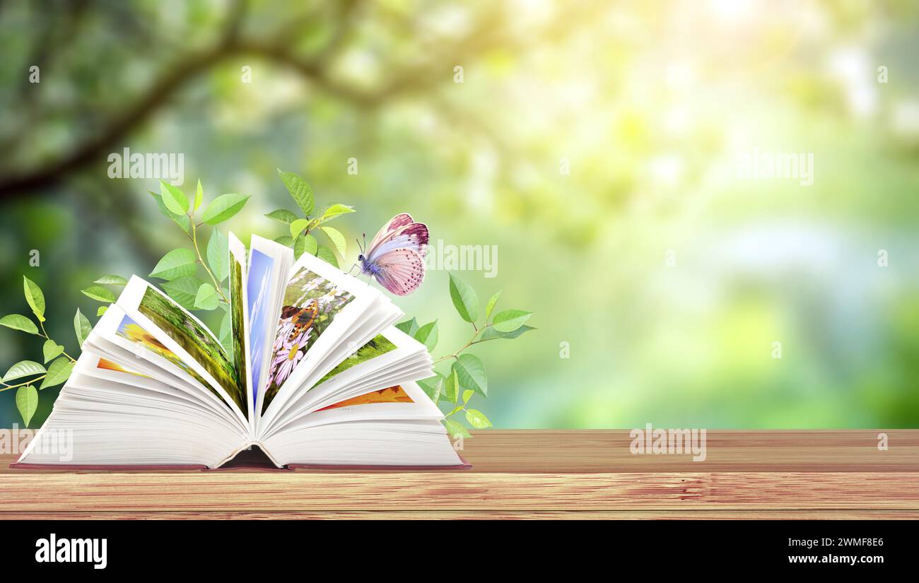 Book of nature. Horizontal banner with book open and butterfly on wood ...