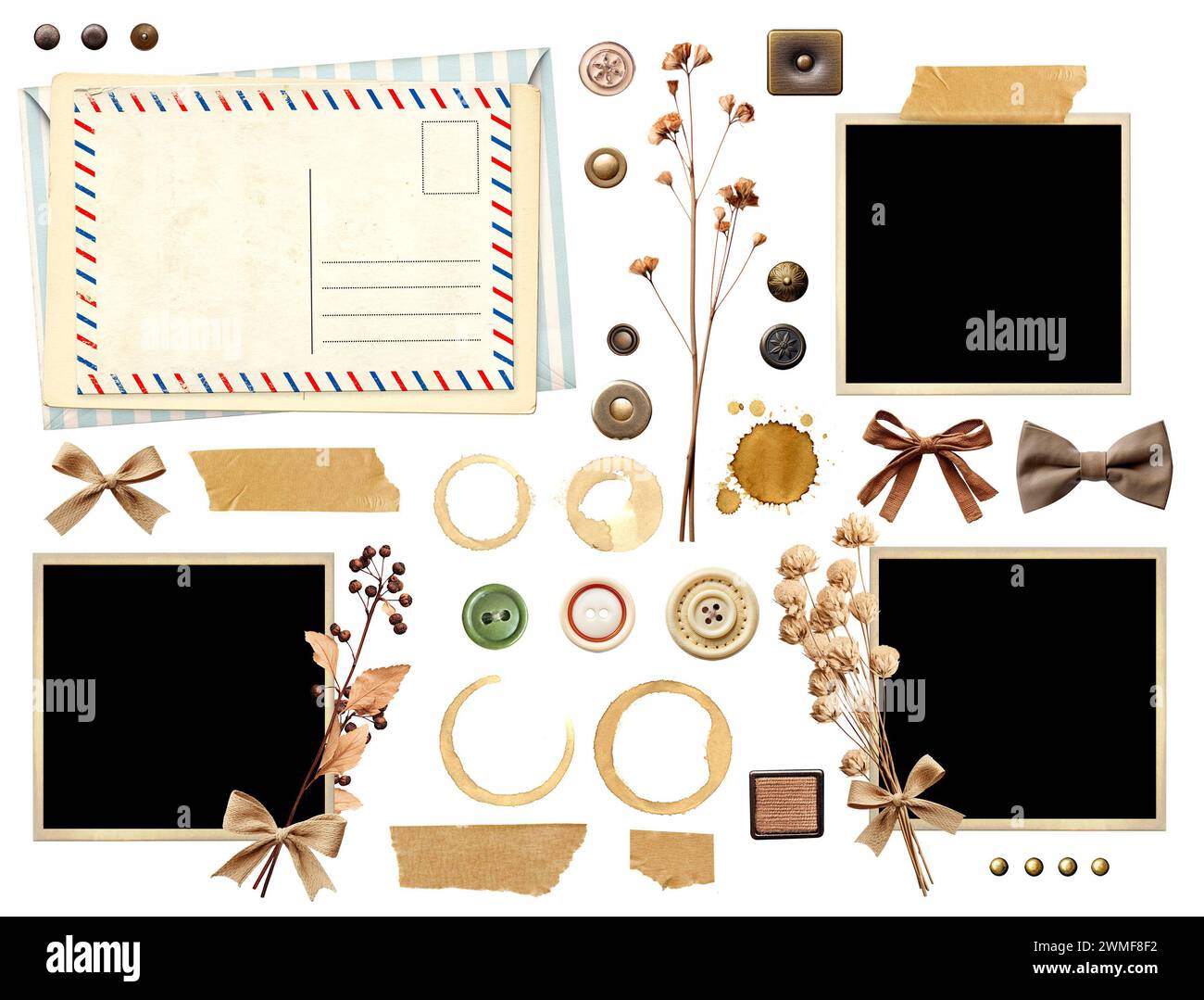 Romantic scrapbooking set with retro photo frame, dry pressed flower ...