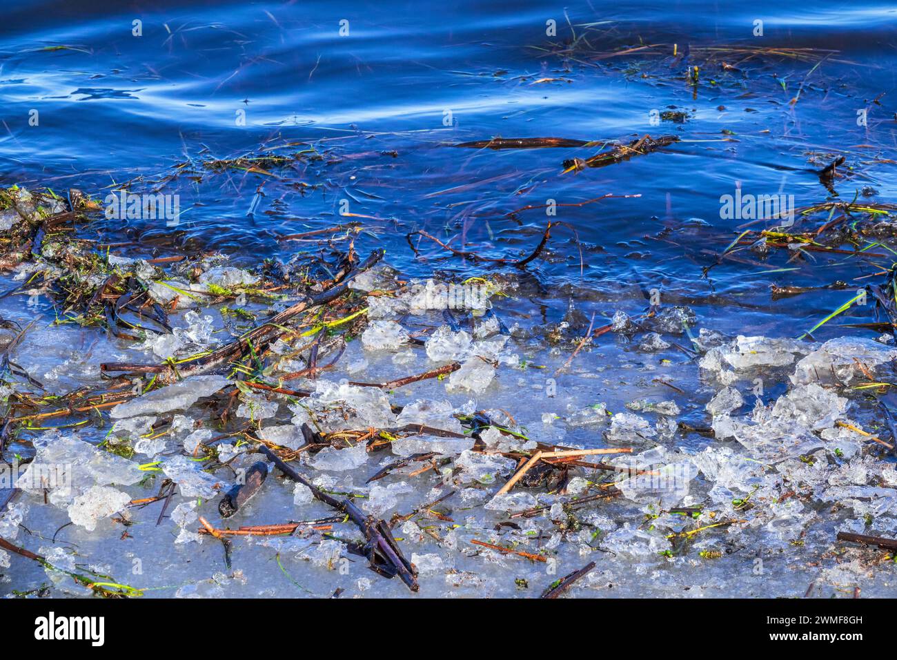 Ice floating on the water Stock Photo - Alamy