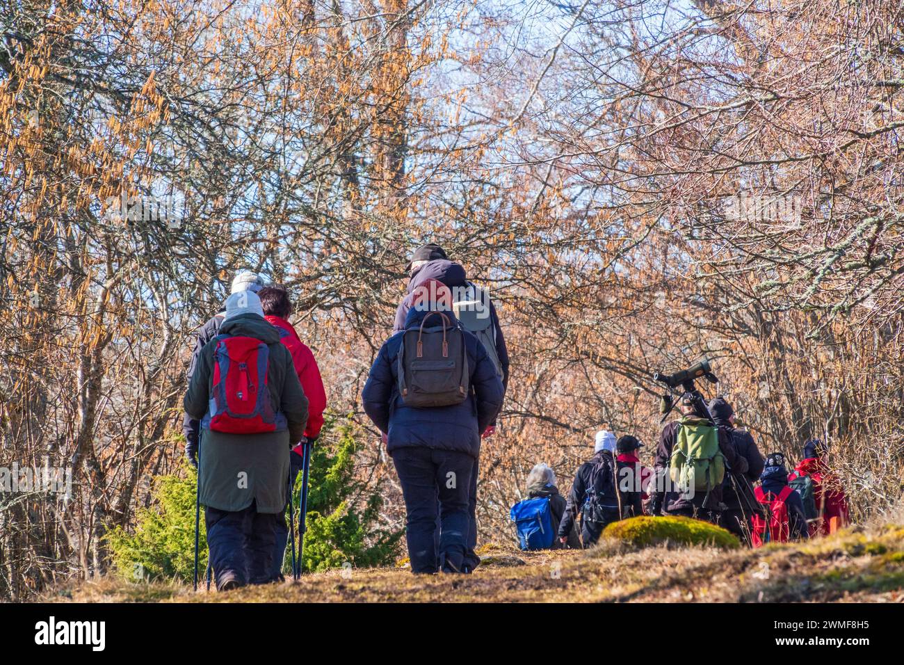 People walking on spring hi-res stock photography and images - Alamy