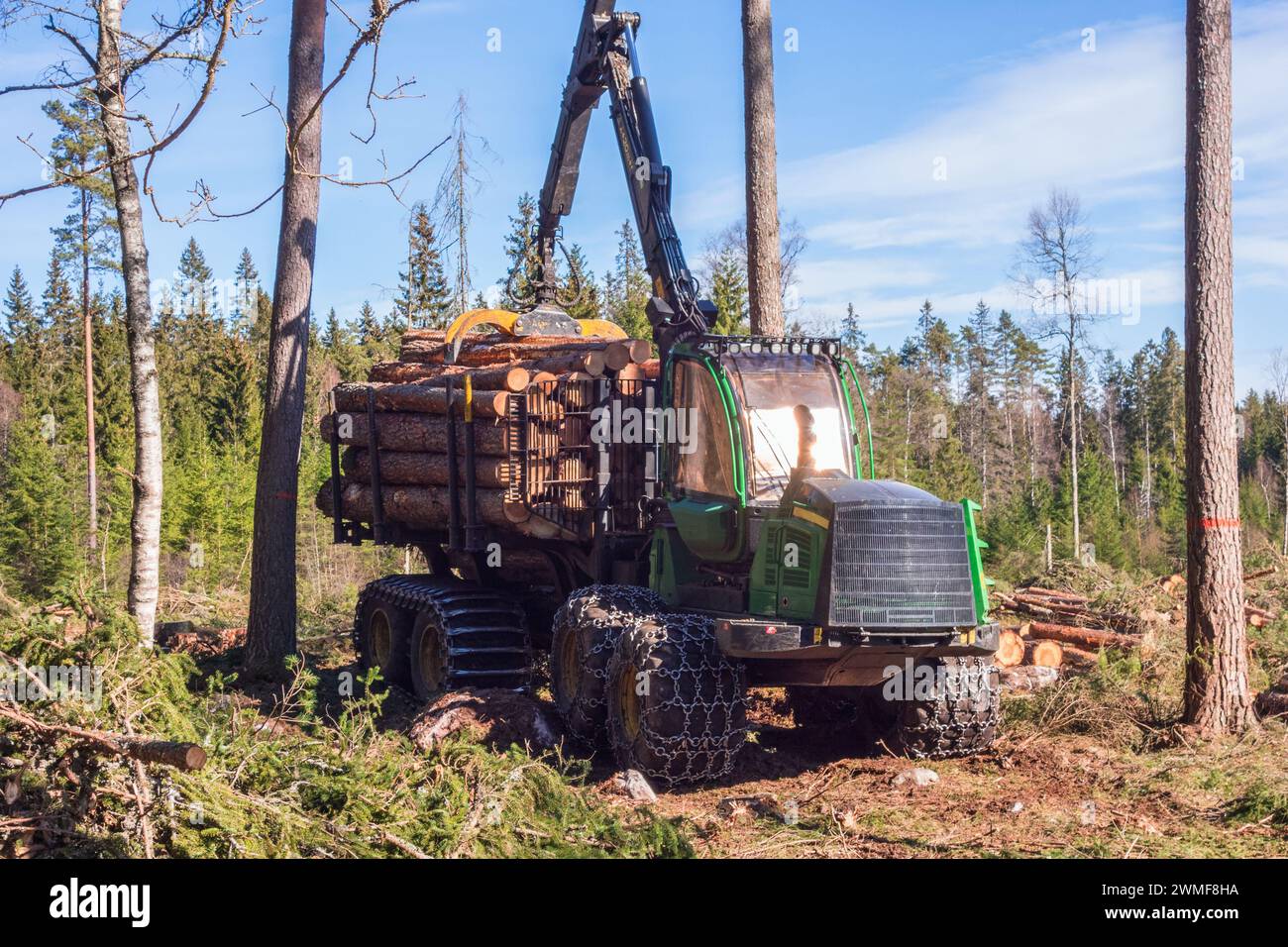 Forwarder with a load of timber in the forest Stock Photo - Alamy