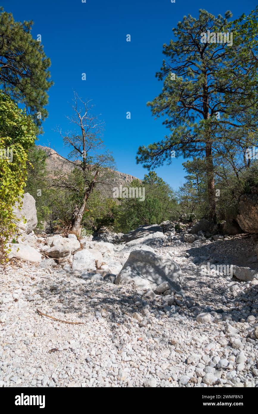 The Devil's Hall Trail at Guadalupe Mountains National Park in Western ...