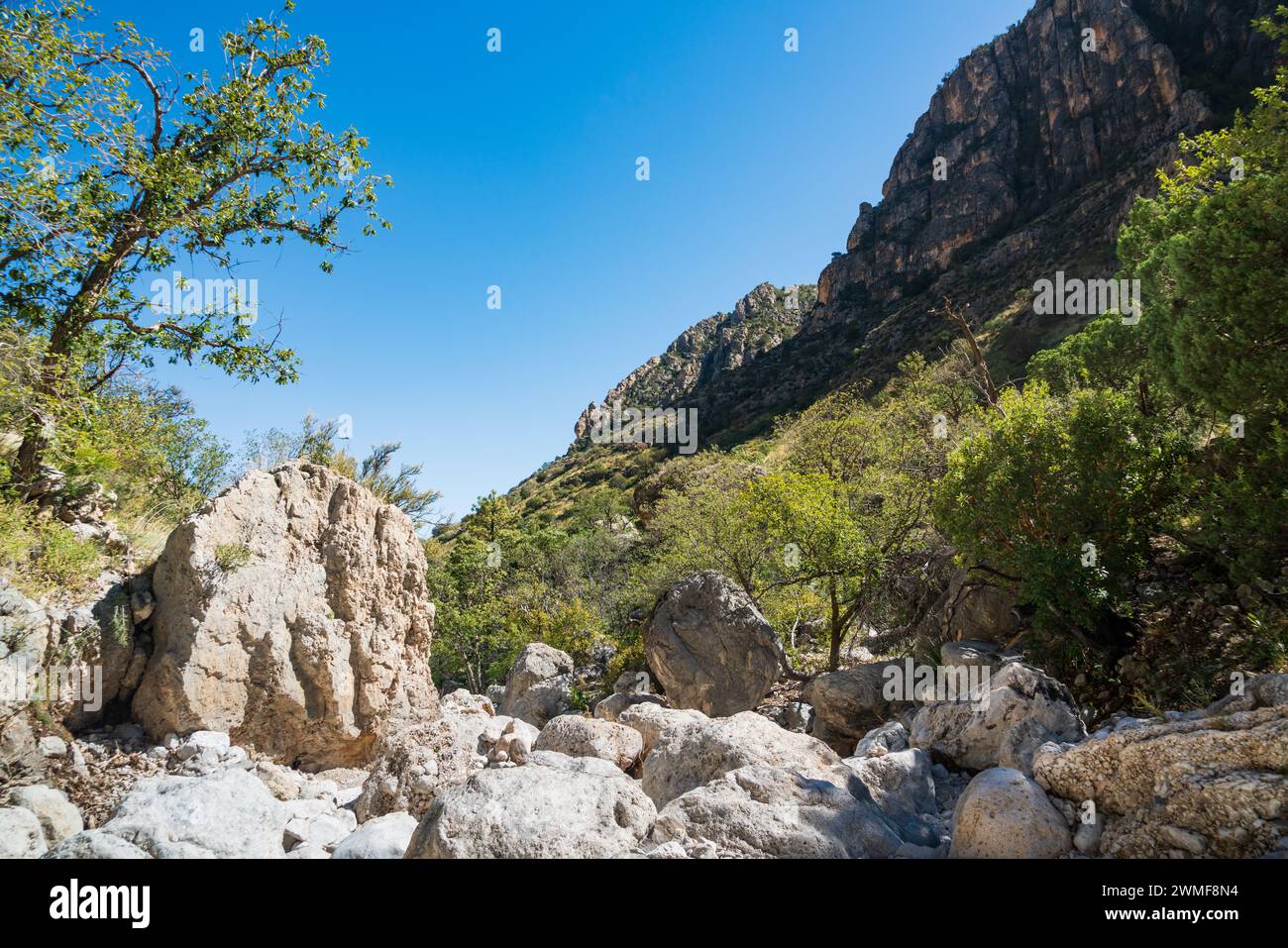 The Devil's Hall Trail at Guadalupe Mountains National Park in Western ...
