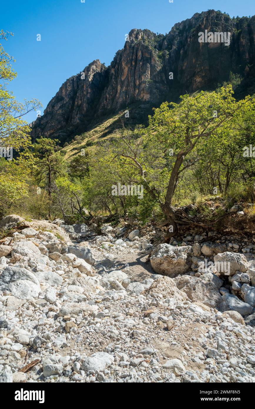 The Devil's Hall Trail at Guadalupe Mountains National Park in Western ...