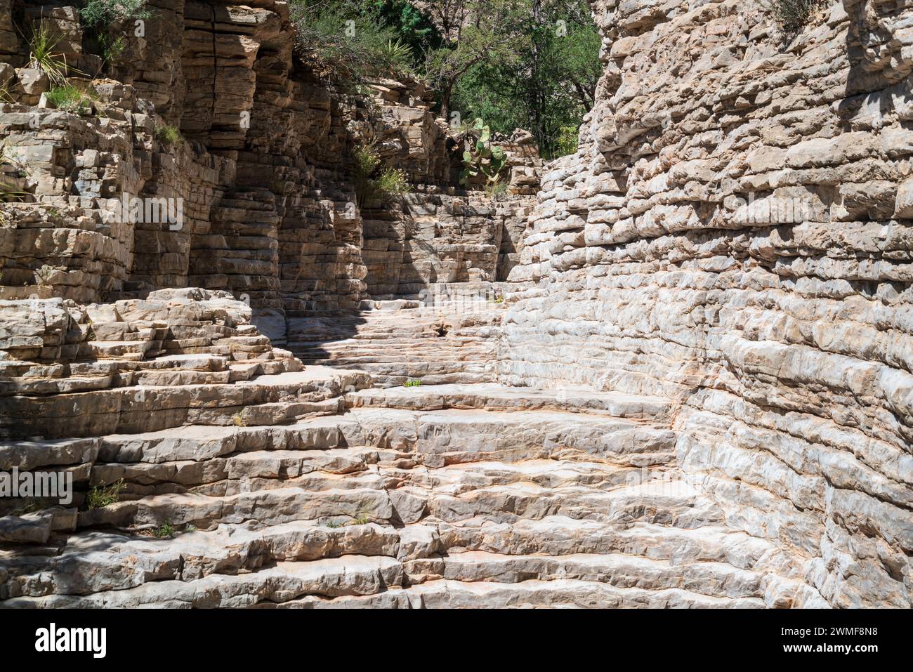 The Devil's Hall Trail at Guadalupe Mountains National Park in Western ...