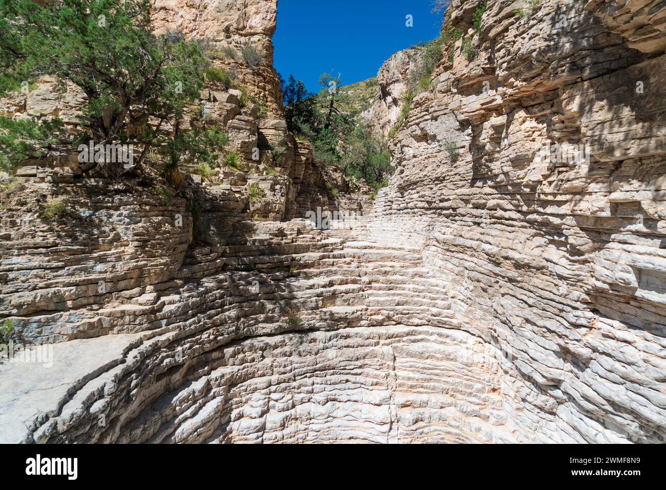 The Devil's Hall Trail at Guadalupe Mountains National Park in Western ...