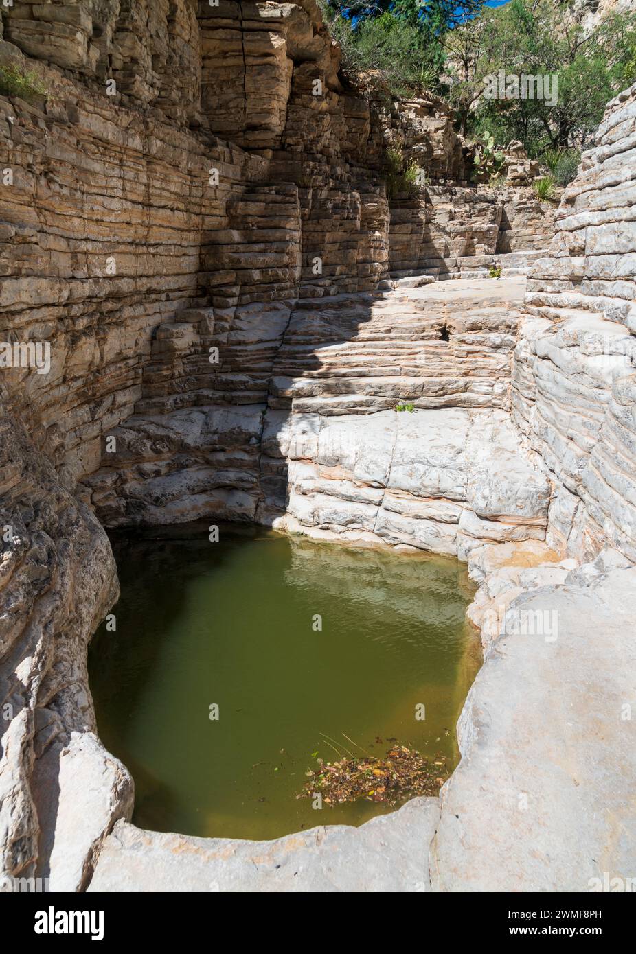 The Devil's Hall Trail at Guadalupe Mountains National Park in Western ...