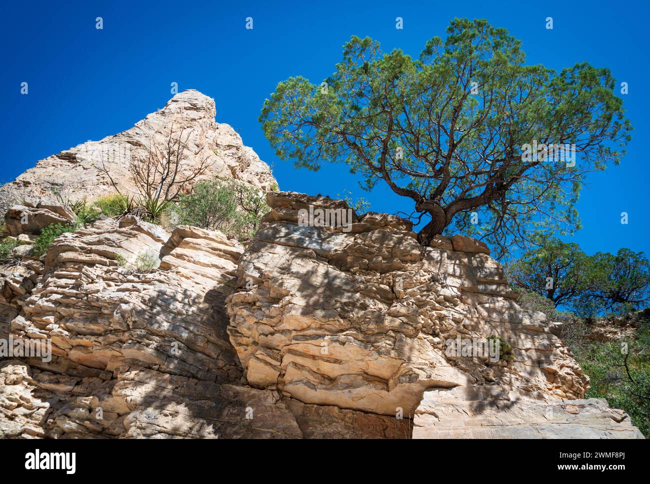 The Devil's Hall Trail at Guadalupe Mountains National Park in Western ...
