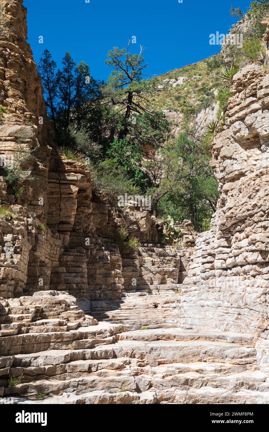 The Devil's Hall Trail at Guadalupe Mountains National Park in Western ...