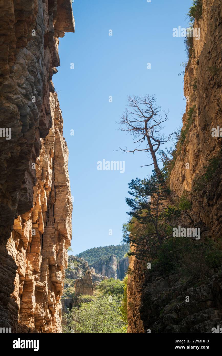 The Devil's Hall Trail at Guadalupe Mountains National Park in Western ...