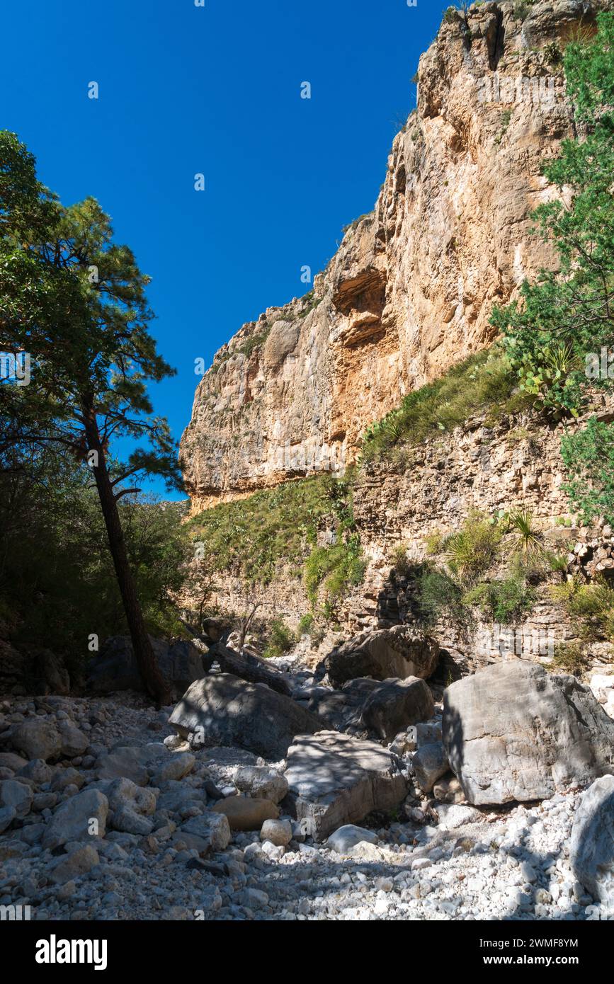 The Devil's Hall Trail at Guadalupe Mountains National Park in Western ...