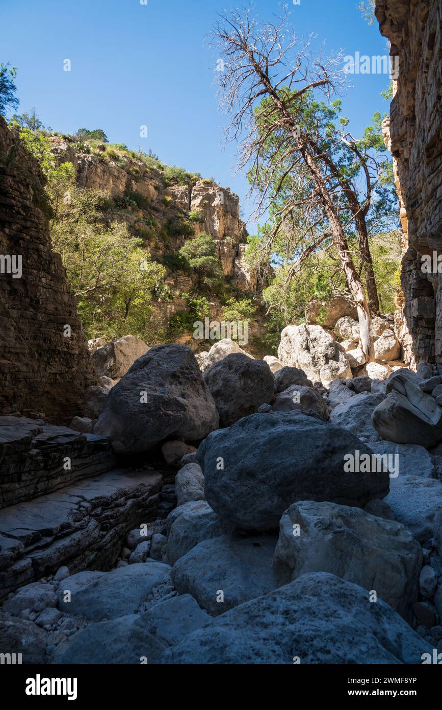 The Devil's Hall Trail at Guadalupe Mountains National Park in Western ...