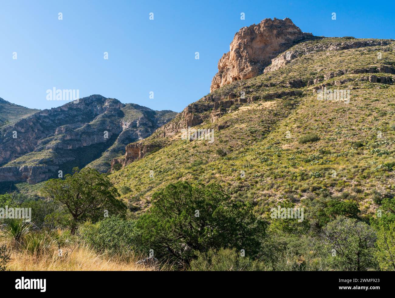 Guadalupe Mountains National Park in Western Texas, USA Stock Photo - Alamy