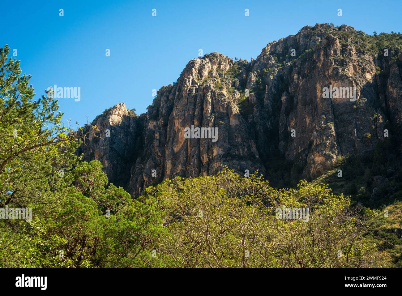 Guadalupe Mountains National Park in Western Texas, USA Stock Photo - Alamy