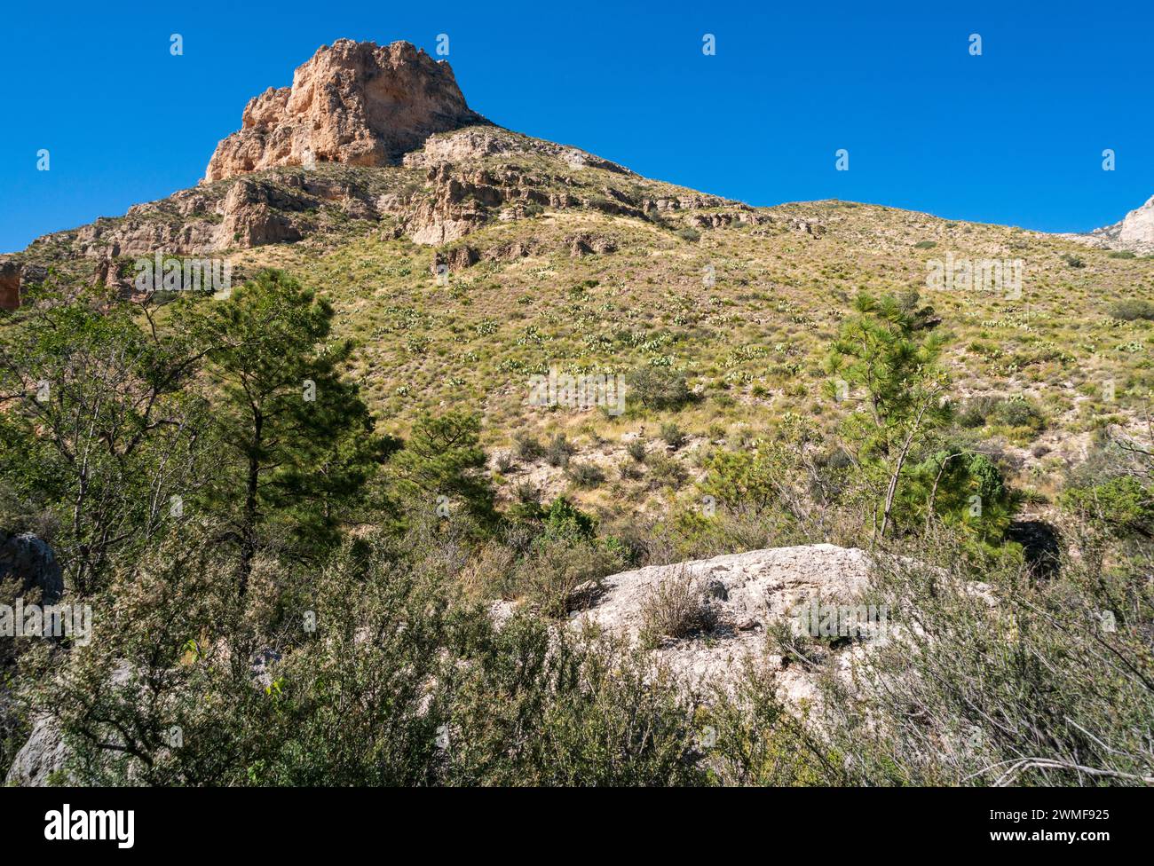 Guadalupe Mountains National Park in Western Texas, USA Stock Photo - Alamy