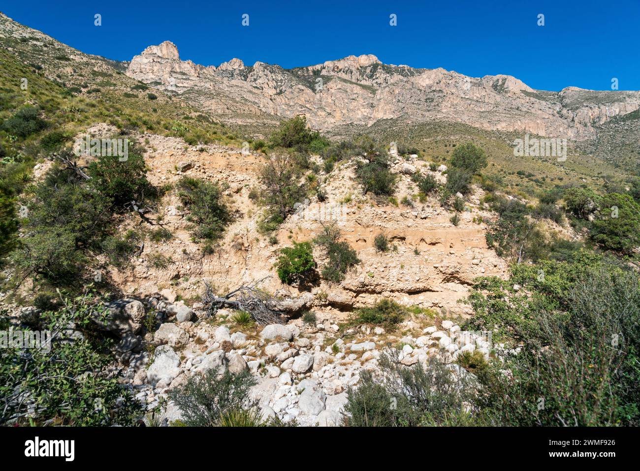 Guadalupe Mountains National Park in Western Texas, USA Stock Photo - Alamy