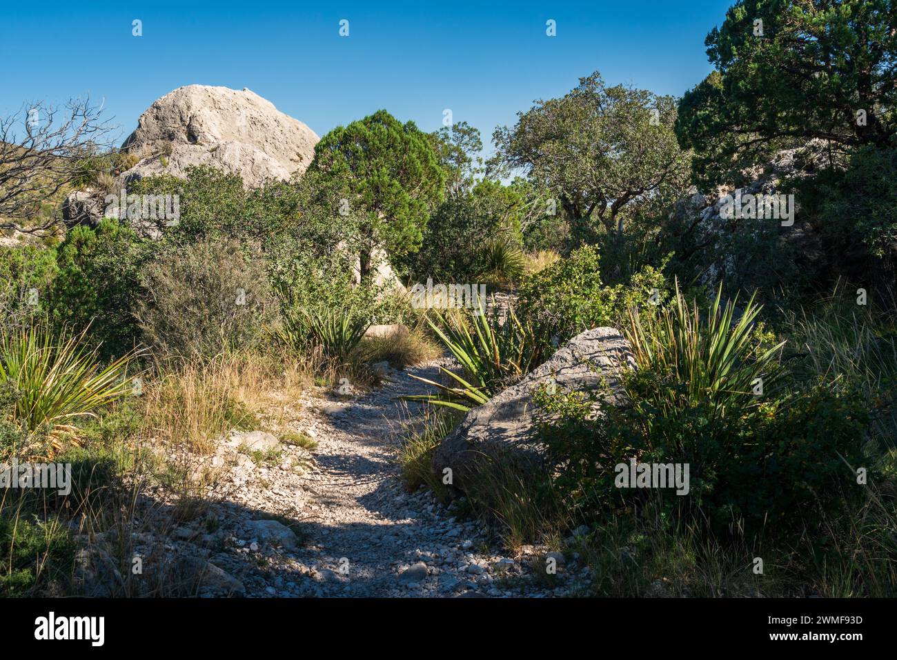 The Devil's Hall Trail at Guadalupe Mountains National Park in Western ...