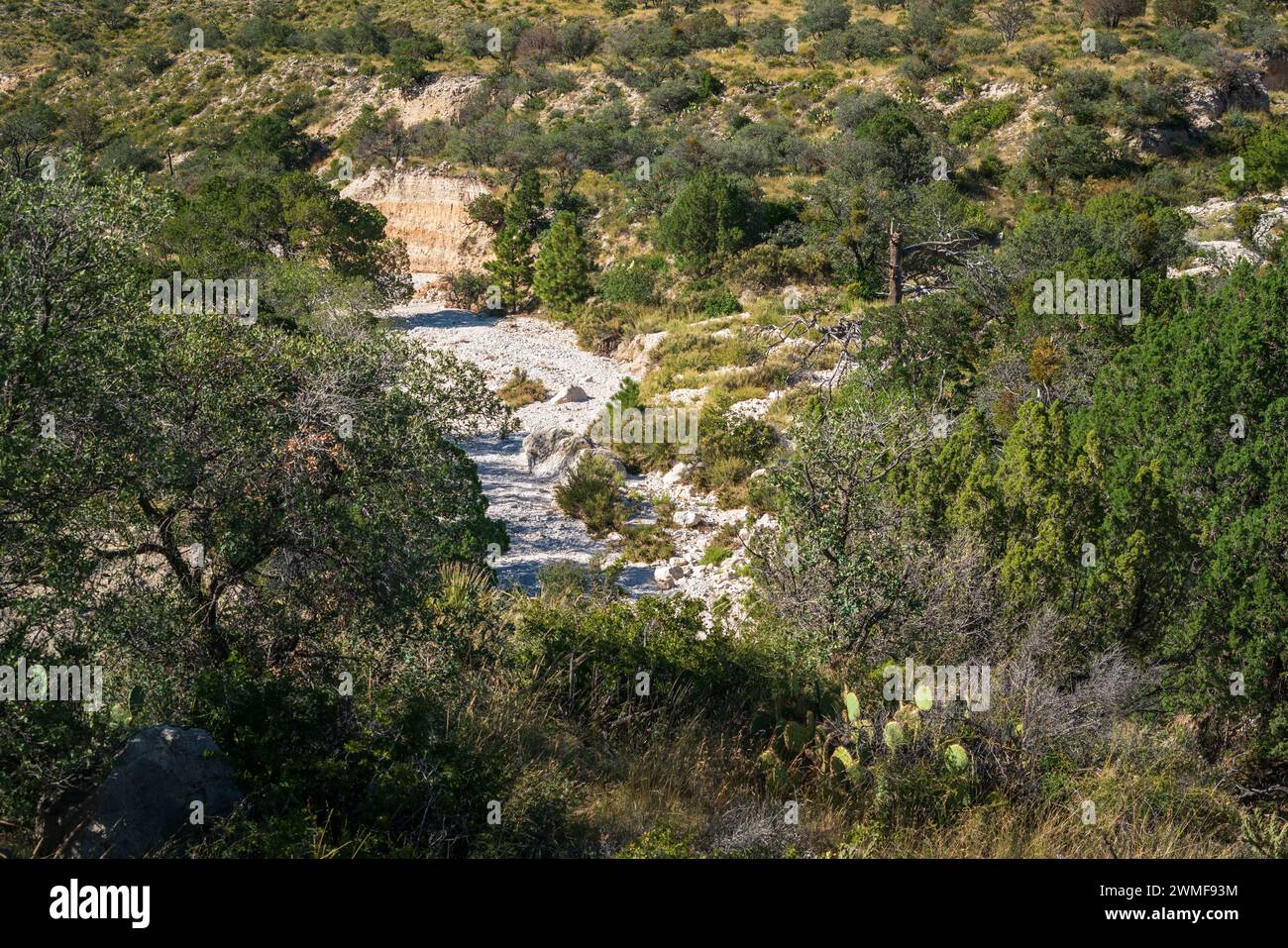 The Devil's Hall Trail at Guadalupe Mountains National Park in Western ...