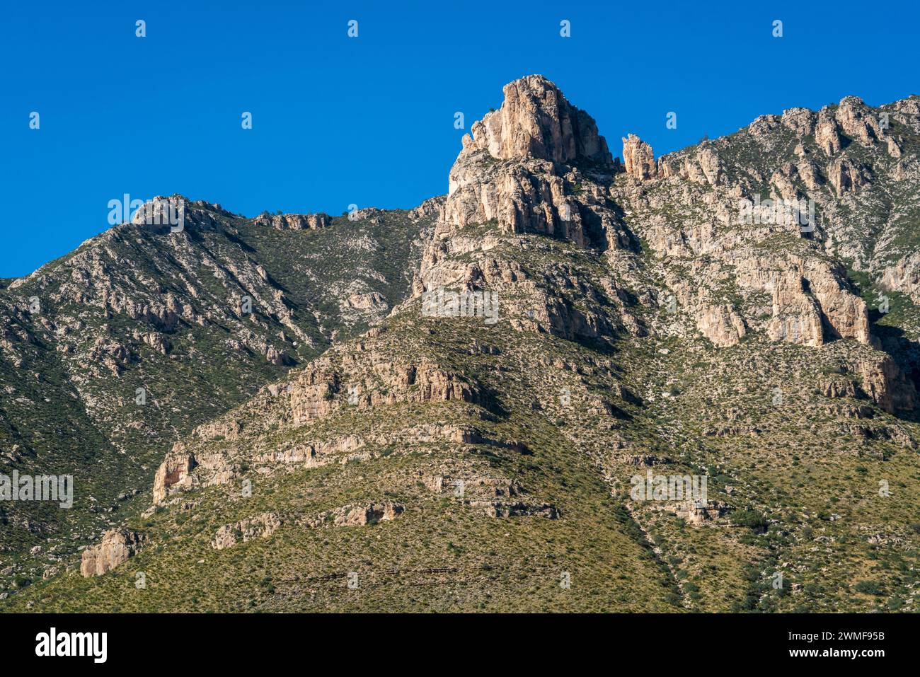 Guadalupe Mountains National Park in Western Texas, USA Stock Photo - Alamy