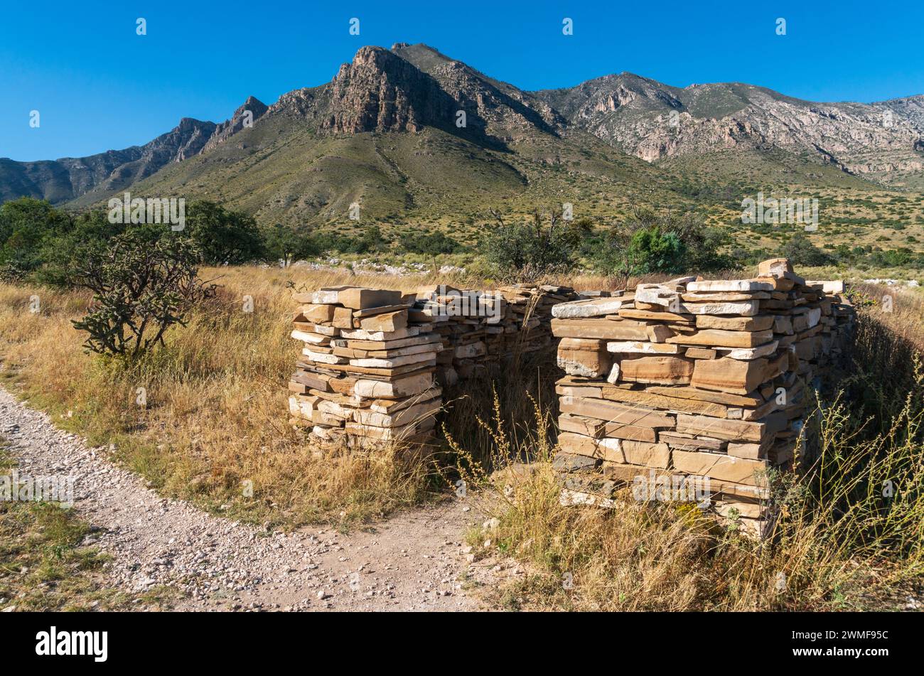 Guadalupe Mountains National Park in Western Texas, USA Stock Photo - Alamy