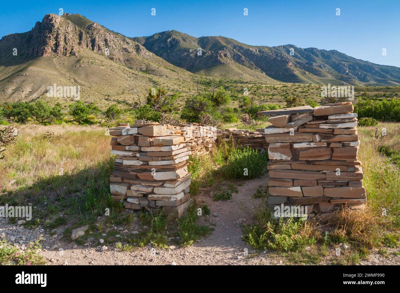 Guadalupe Mountains National Park in Western Texas, USA Stock Photo - Alamy