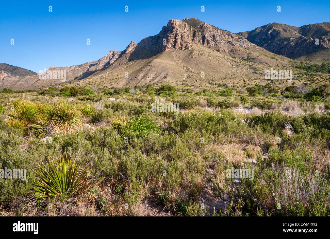 Guadalupe mountains hiking trails hi-res stock photography and images ...