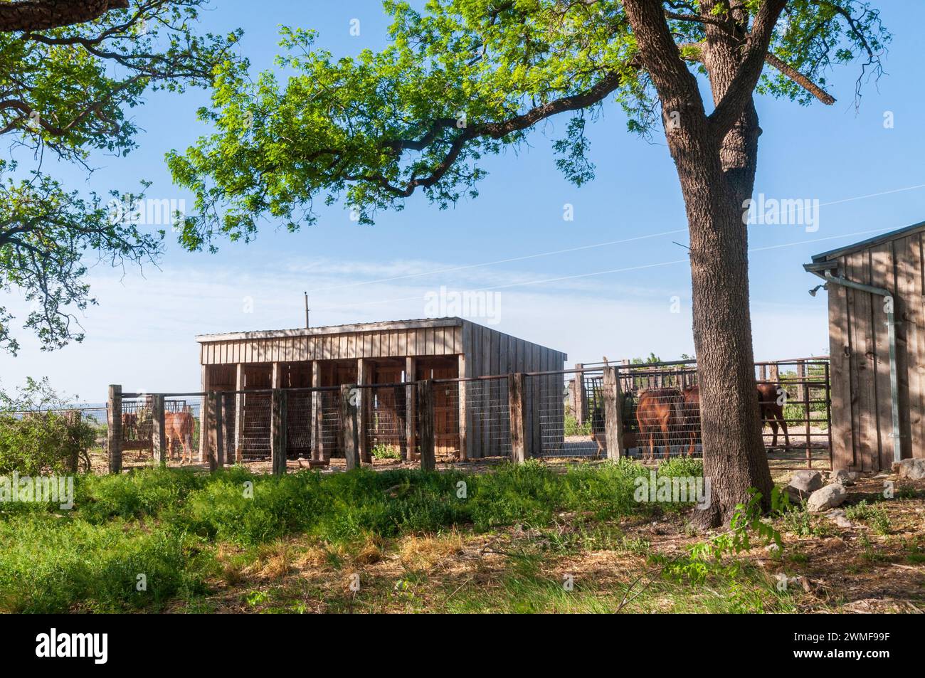 Frijole Ranch Museum at Guadalupe Mountains National Park in Western ...